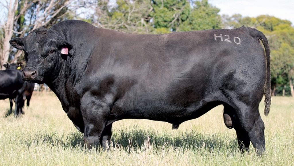 Gallery - OBA Consulting