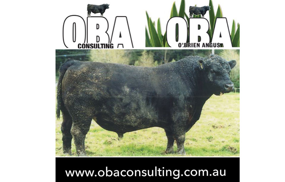 Gallery - OBA Consulting