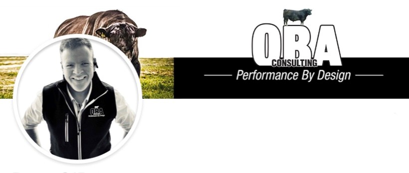 Gallery - OBA Consulting