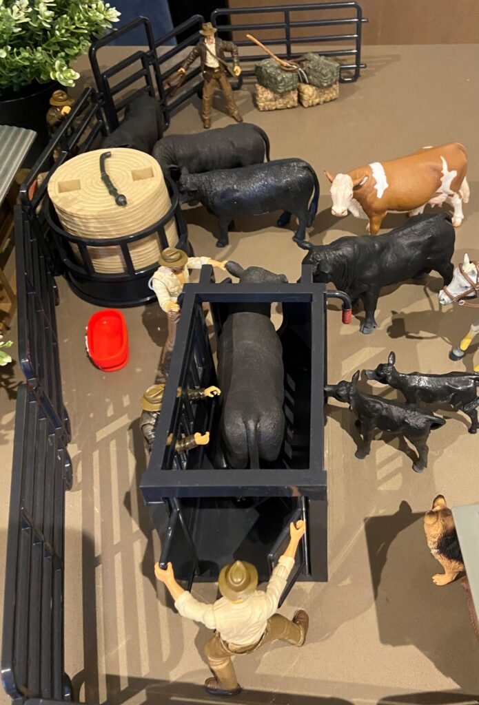 OBA Ranch - OBA Consulting